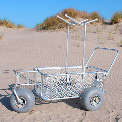 Phoenix Beach Buggys